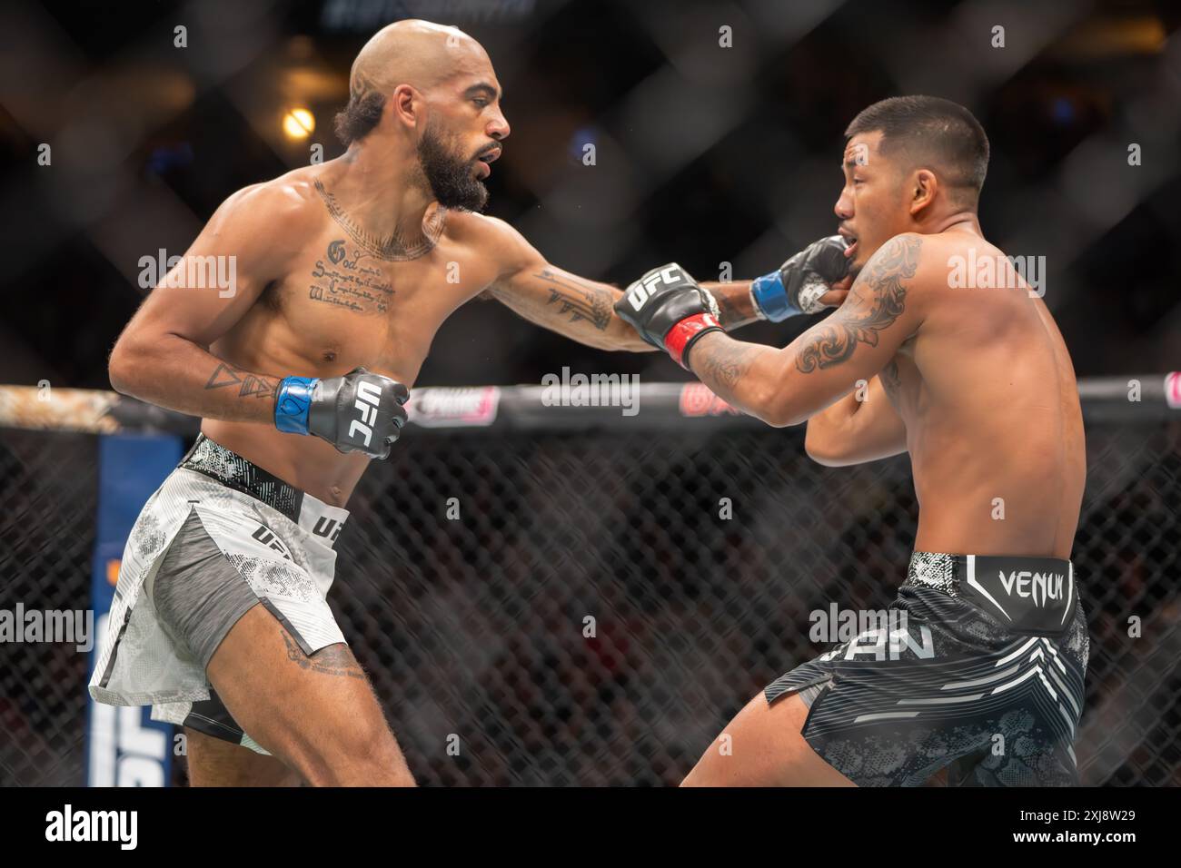 Joshua van ufc hi-res stock photography and images - Alamy