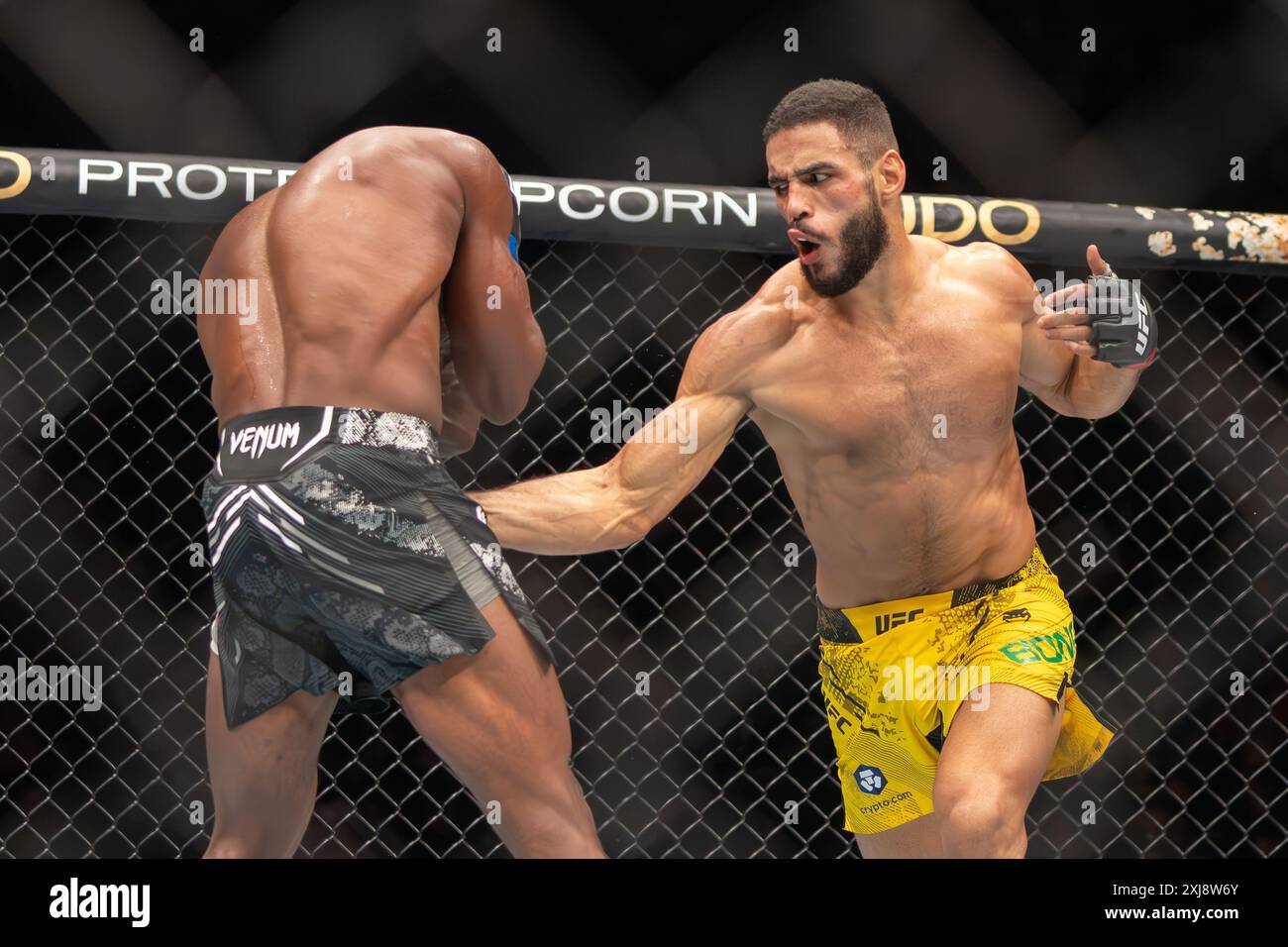 Gabriel bonfim ufc hi-res stock photography and images - Alamy