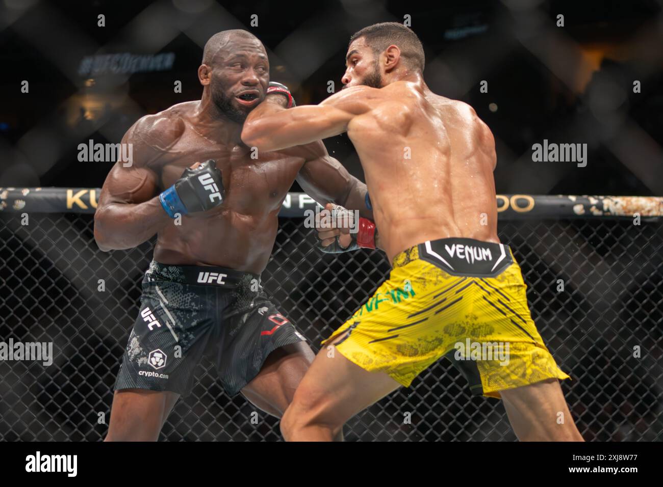 Gabriel bonfim ufc hi-res stock photography and images - Alamy