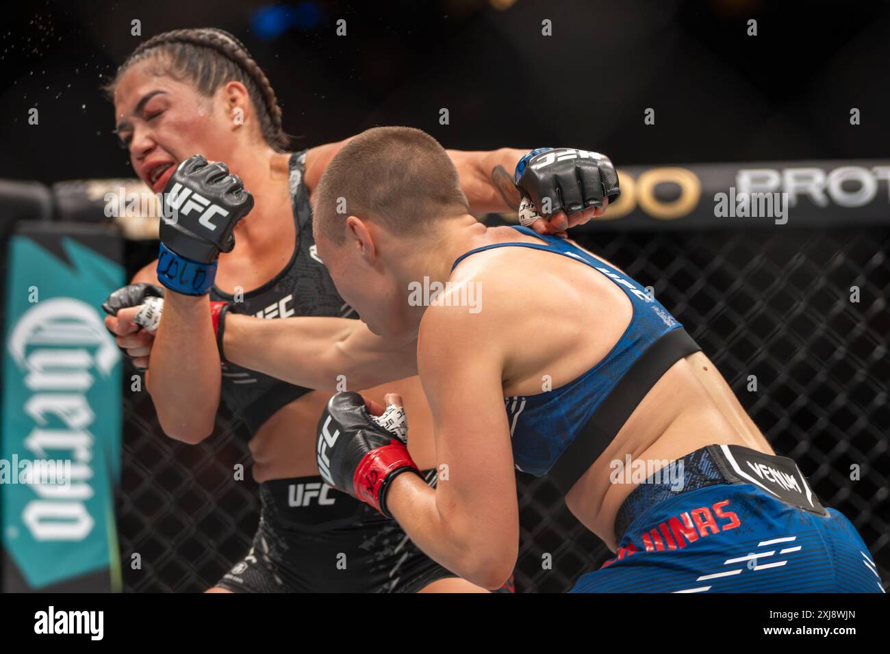 Tracy cortez hi-res stock photography and images - Alamy