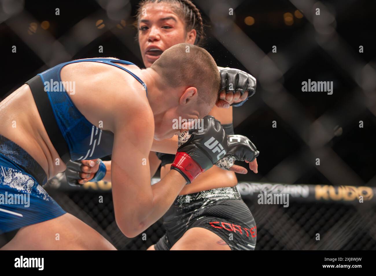 UFC Women's Flyweight Rosa Namajunas and Tracy Cortez fighting during ... UFC Women's Flyweight Rosa Namajunas and Tracy Cortez fighting during ...