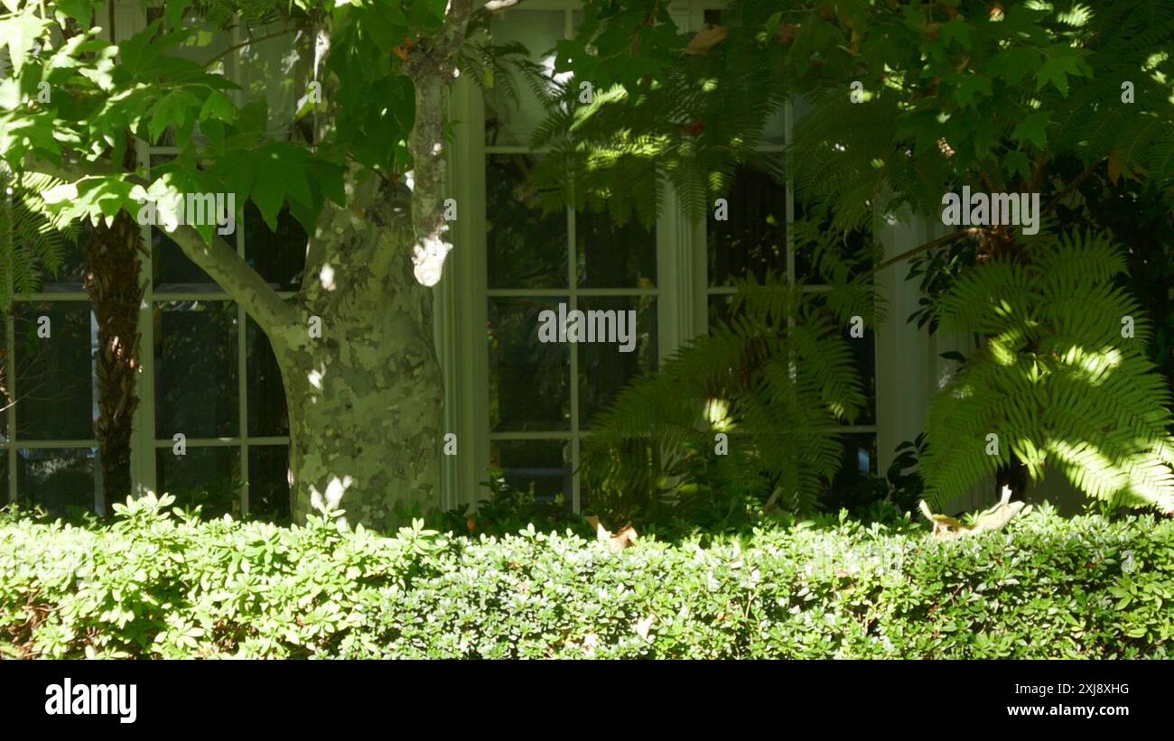 Menendez home at 722 n elm drive hi-res stock photography and images ...