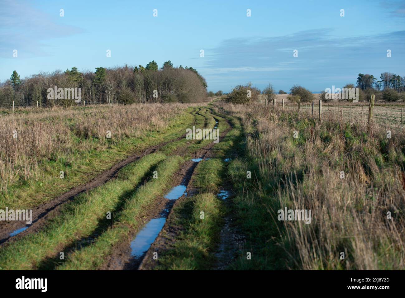 The Ridgeway, a pathway which is the oldest right of way in the UK ...