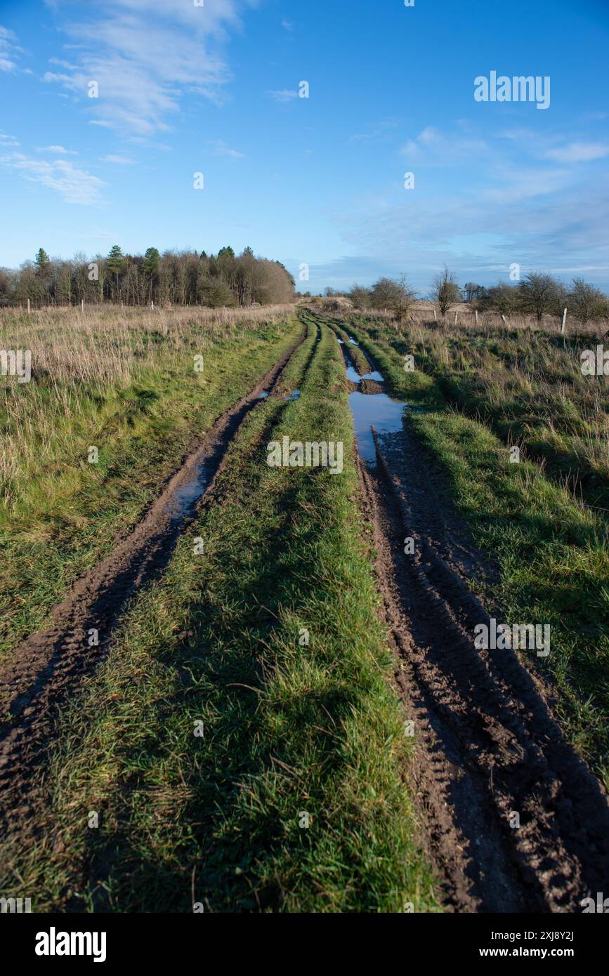 The Ridgeway, a pathway which is the oldest right of way in the UK ...