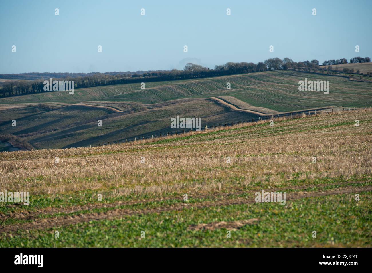 View looking across the Chalk Downland landscape from the Ridgeway ...