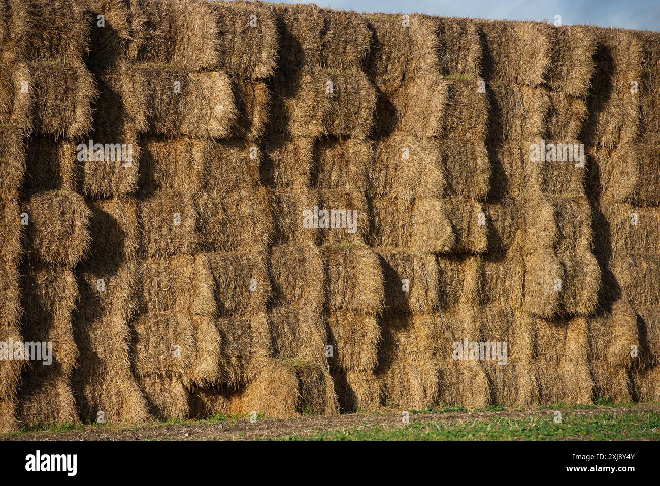 Stacked hay bails hi-res stock photography and images - Alamy