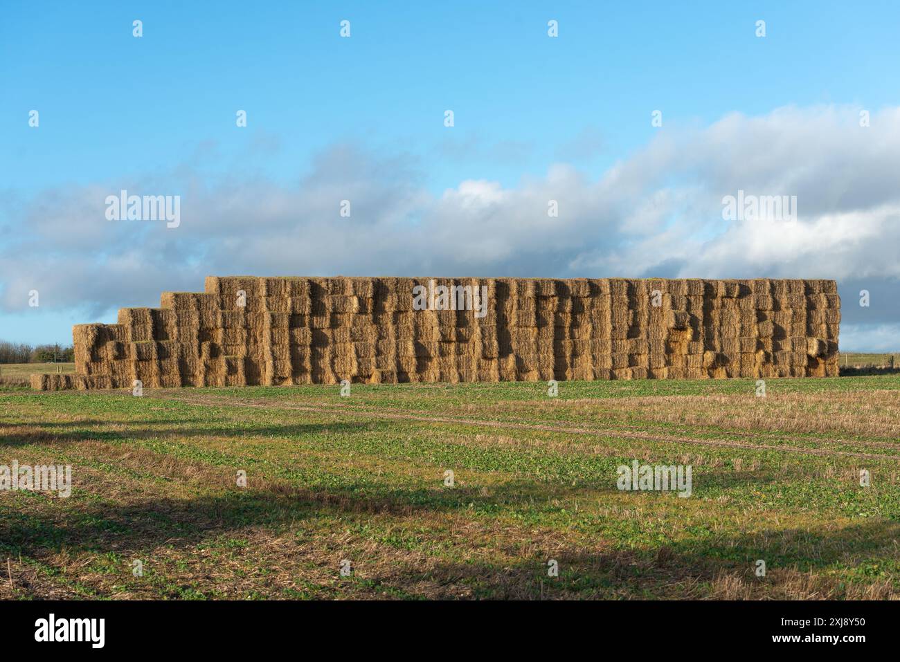 Stacked hay bails hi-res stock photography and images - Alamy