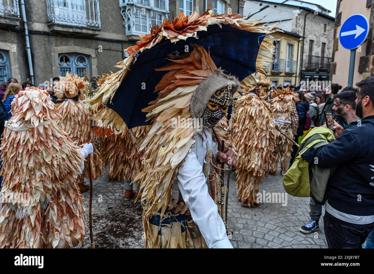 Vibomask, The International Iberian Masquerade Festival in Viana do ...