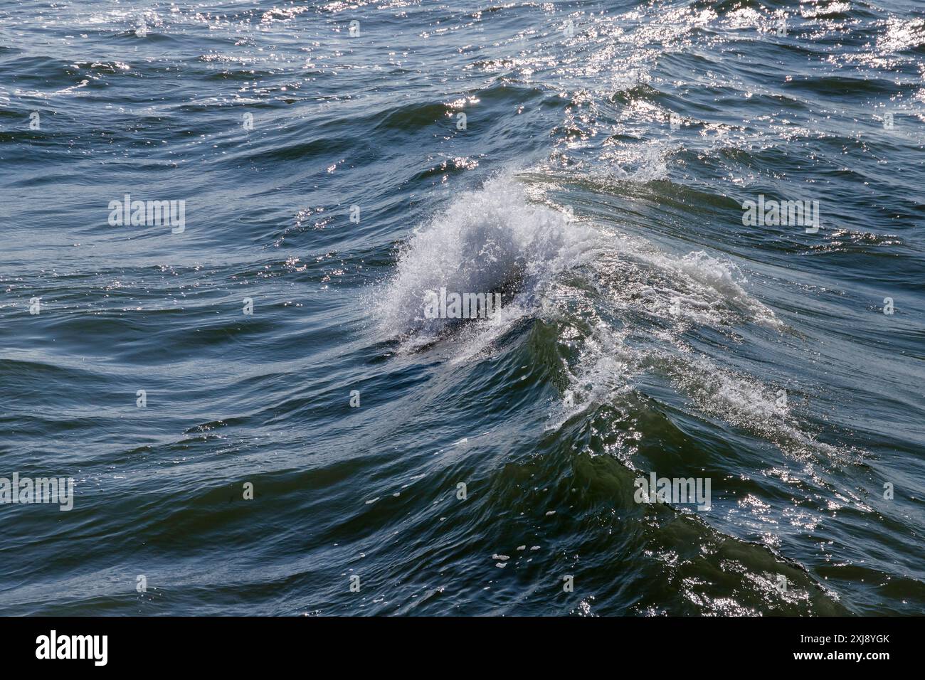 Waves with white foam on top are on blue stormy sea water, natural ...