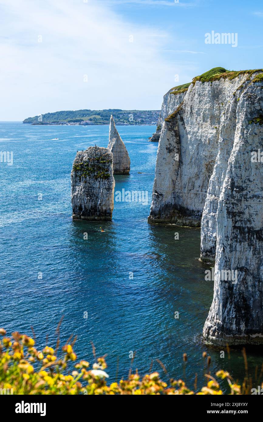 White Cliffs of Old Harry Rocks Jurassic Coast from a drone, Dorset ...