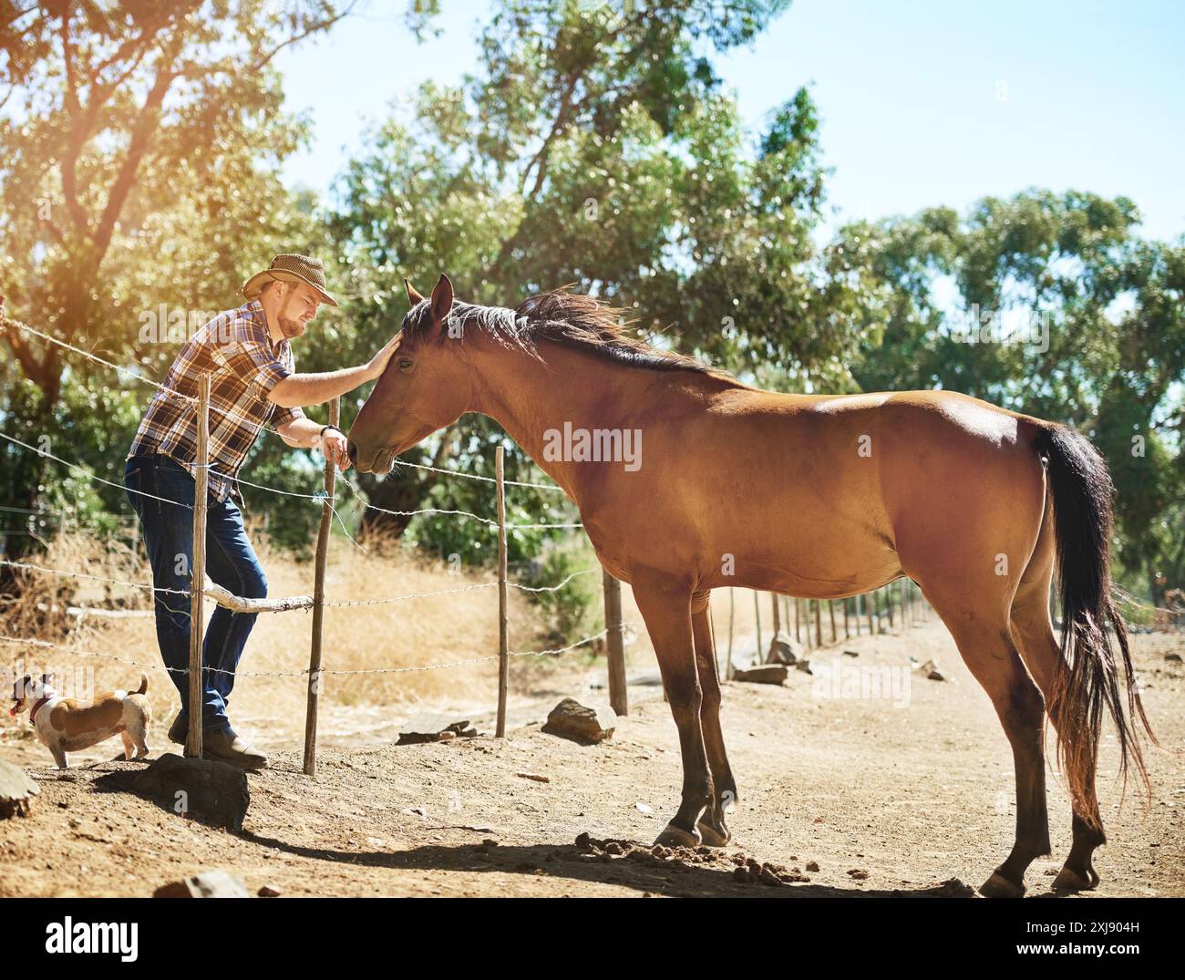Farmer, man and horse in countryside with agriculture for ...