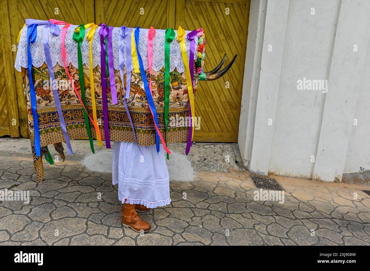 The bull attire of Toro e Xigante in Xironda, Ourense, Galicia, is a ...