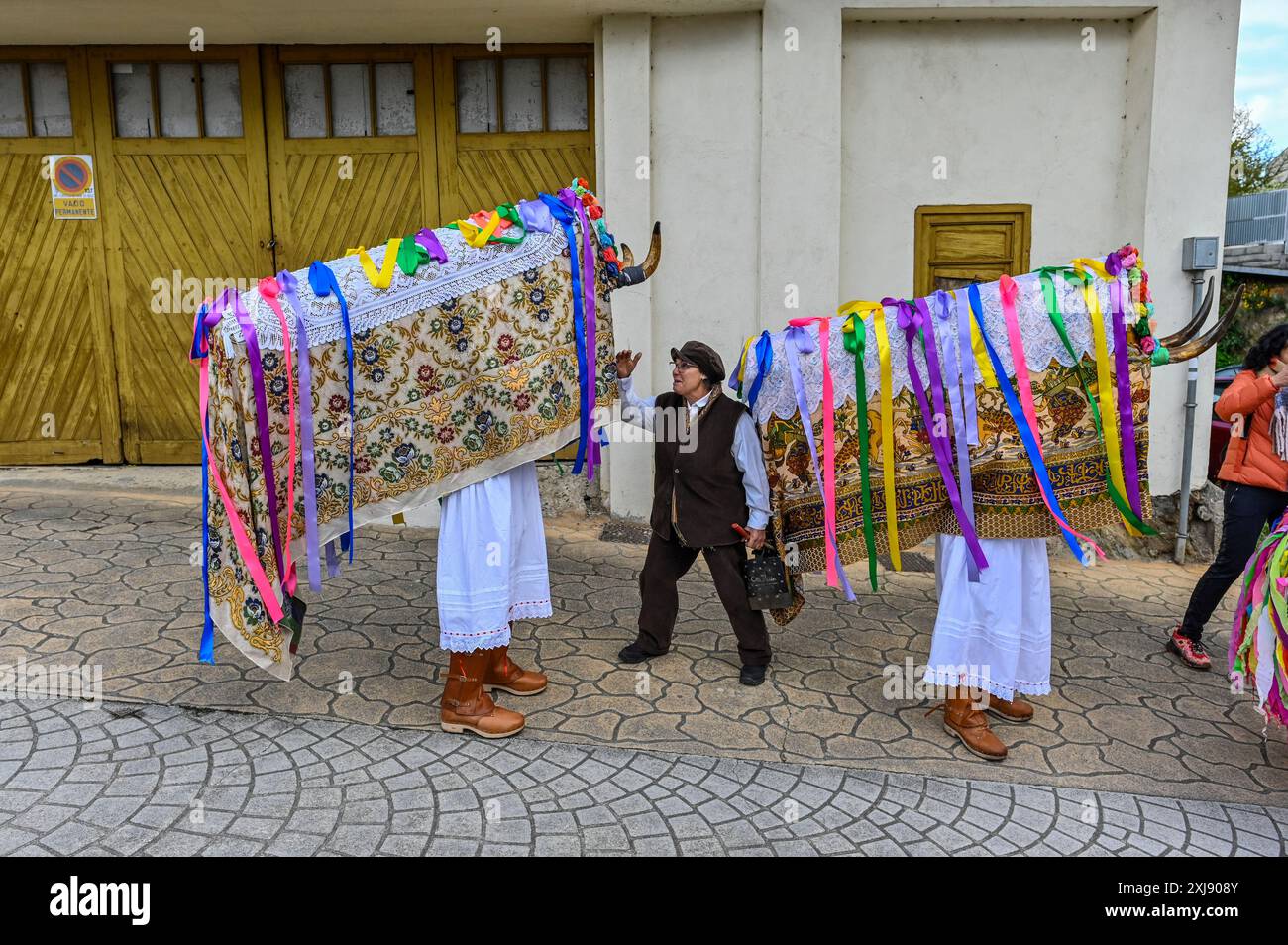 The bull attire of Toro e Xigante in Xironda, Ourense, Galicia, is a ...