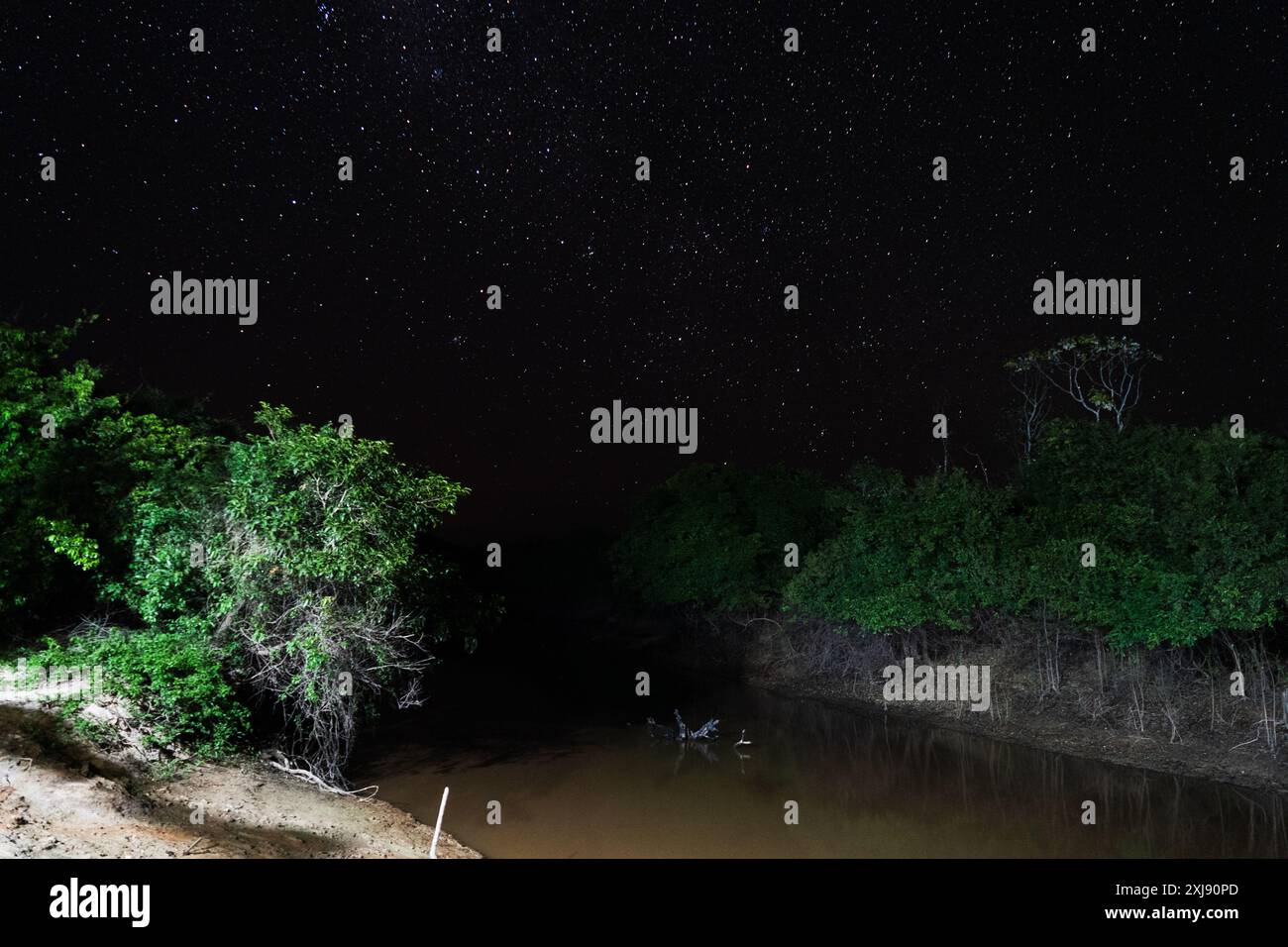 night sky in the amazon Stock Photo - Alamy