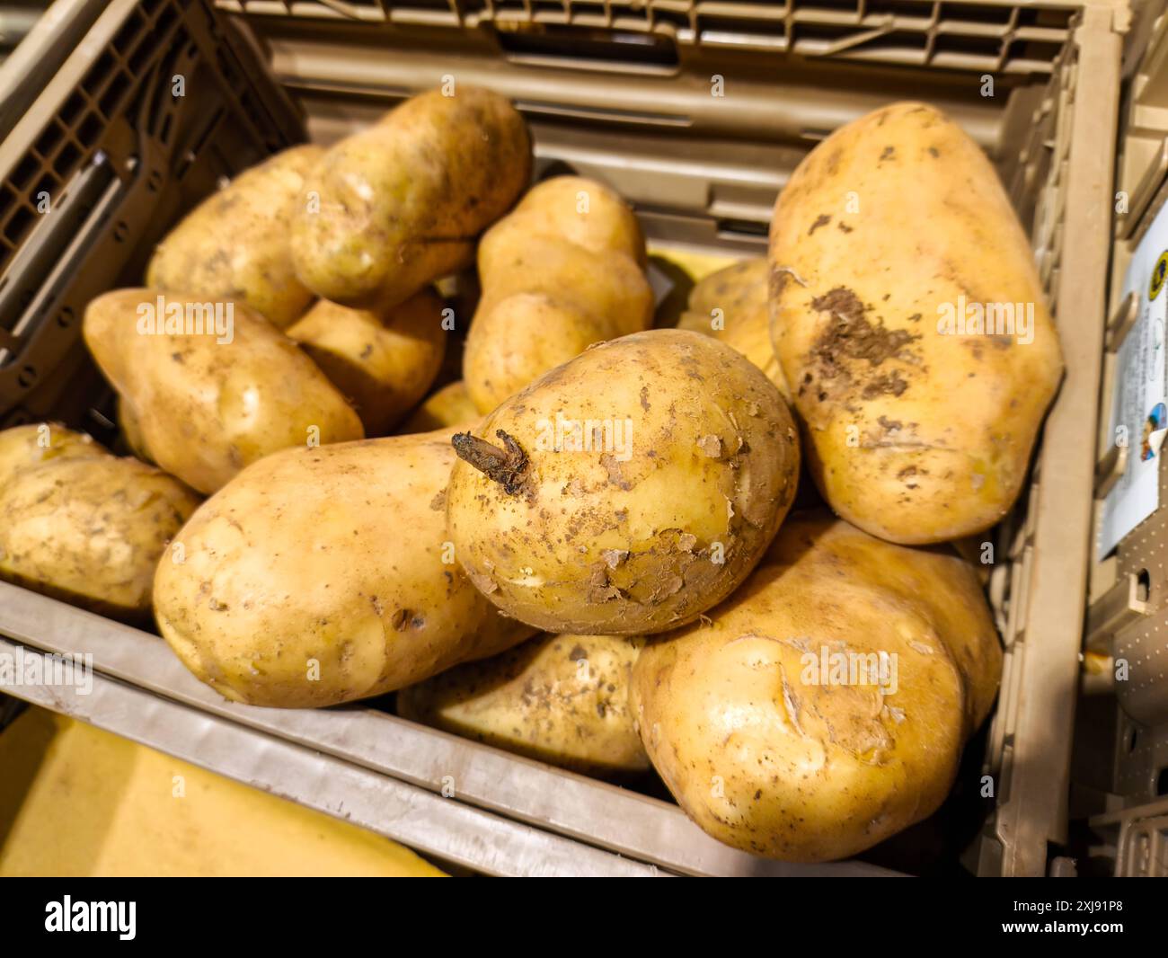 Arco, Italy - July 16, 2024: Fresh unpackaged potatoes from regional ...