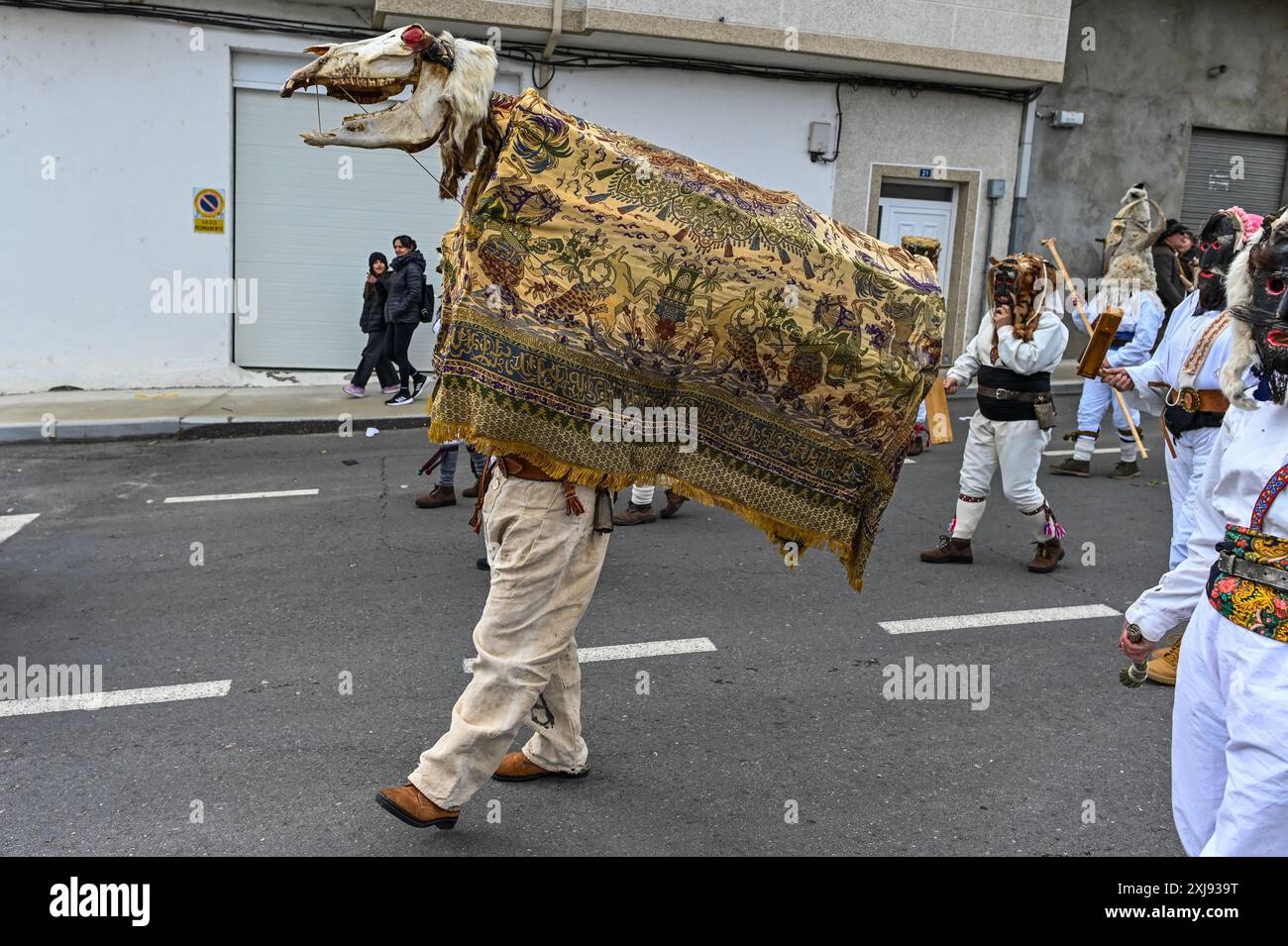 Vibomask, The International Iberian Masquerade Festival in Viana do ...