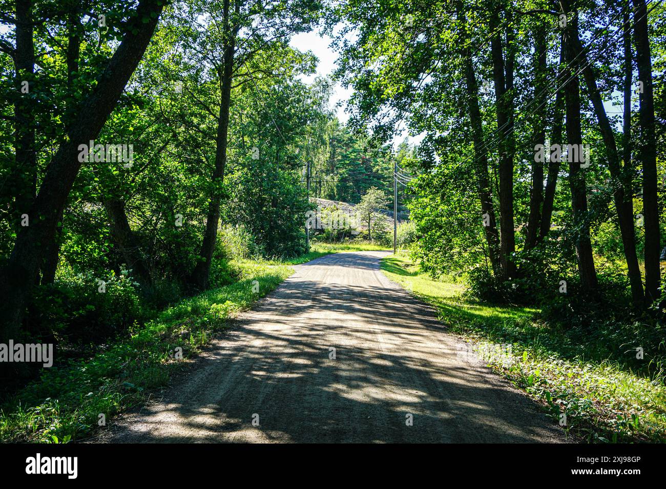 A path through the forest Stock Photo - Alamy