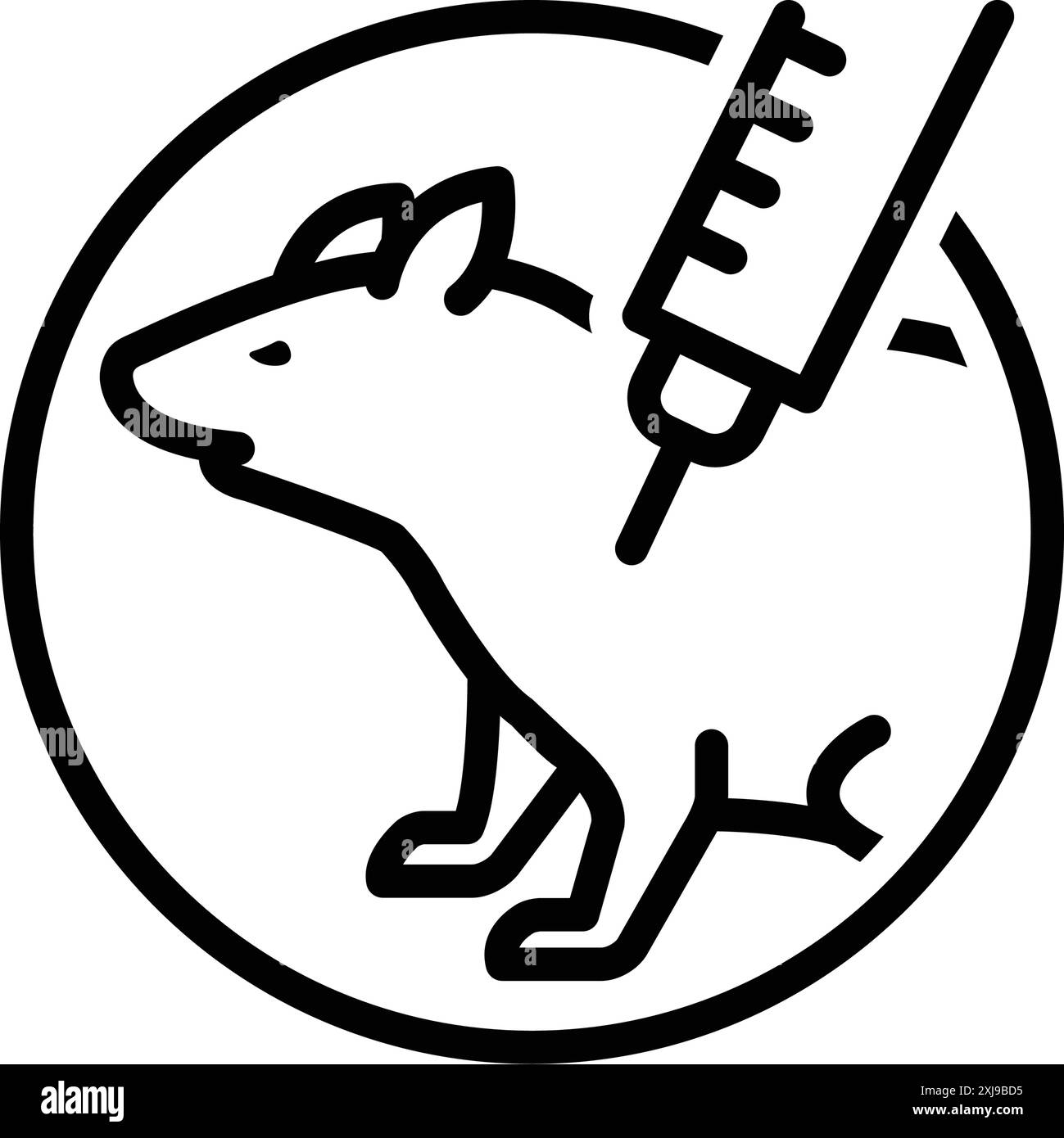 Animal injection mouse Black and White Stock Photos & Images - Alamy