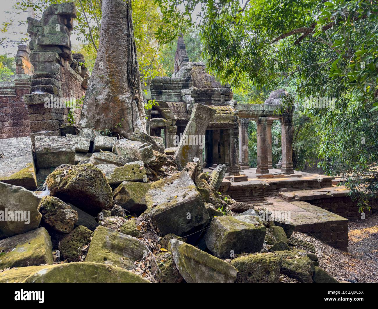 Ta Prohm Temple, a Mahayana Buddhist monastery built in the late 12th ...