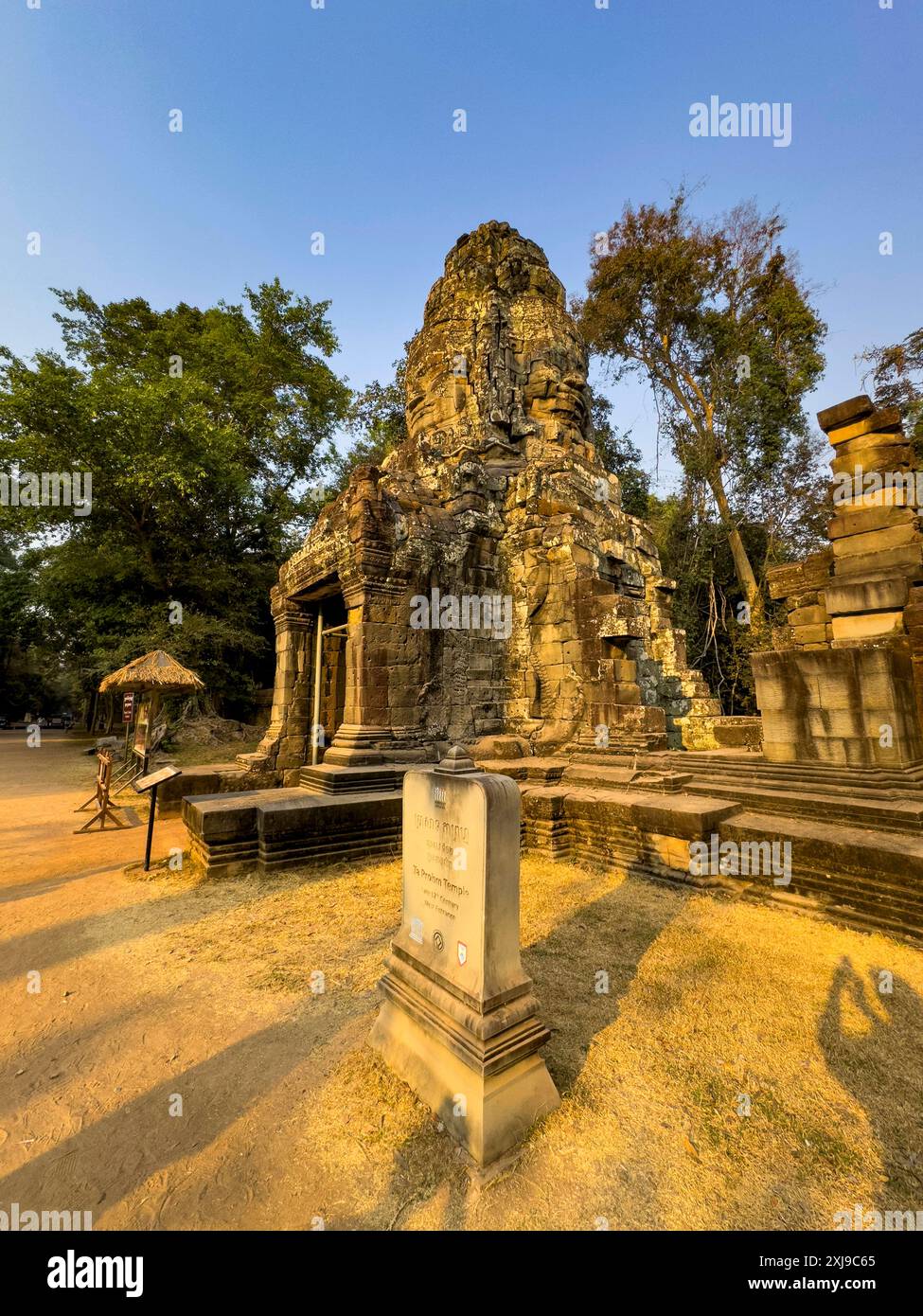 Ta Prohm Temple, a Mahayana Buddhist monastery built in the late 12th ...