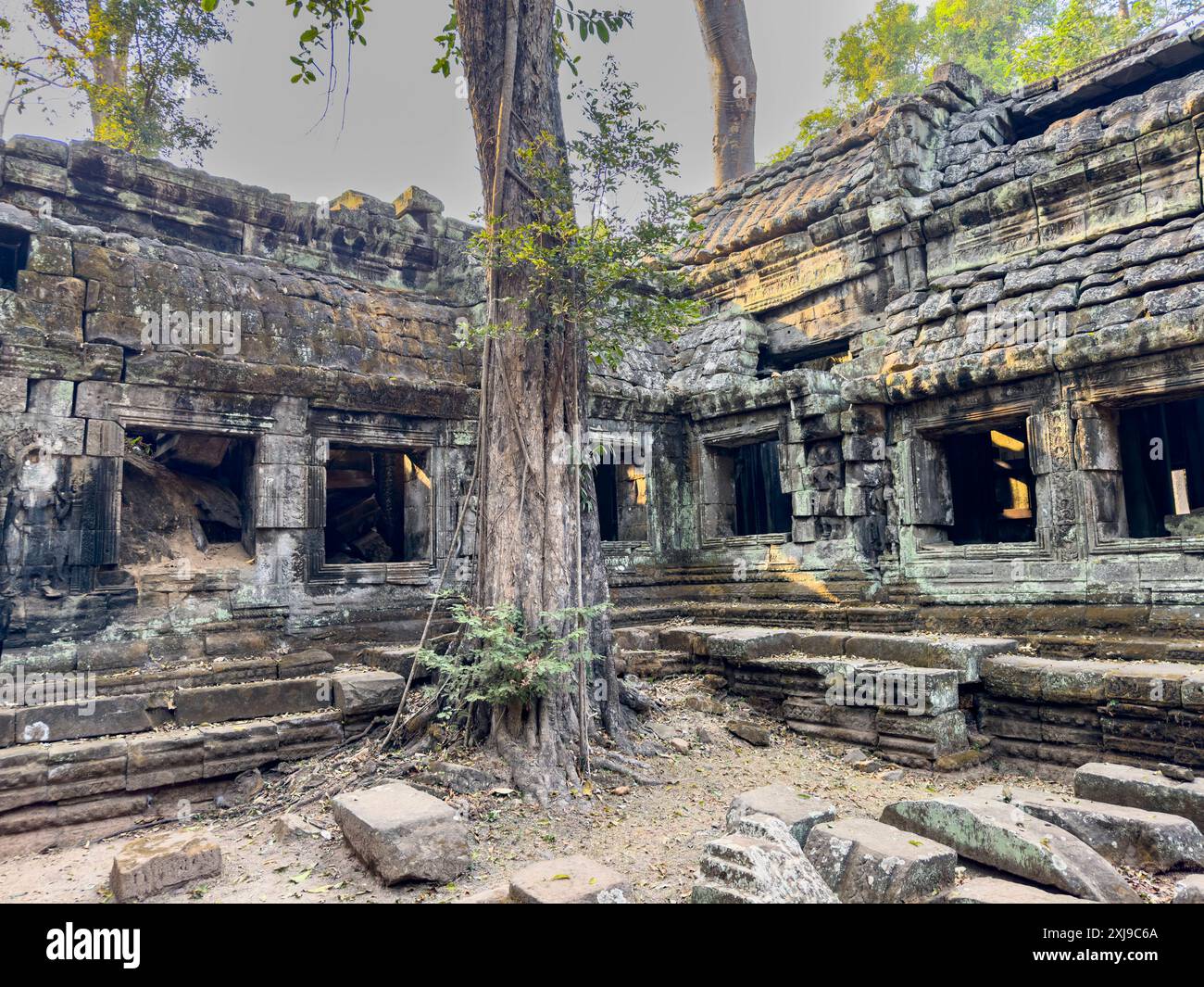 Ta Prohm Temple, a Mahayana Buddhist monastery built in the late 12th ...