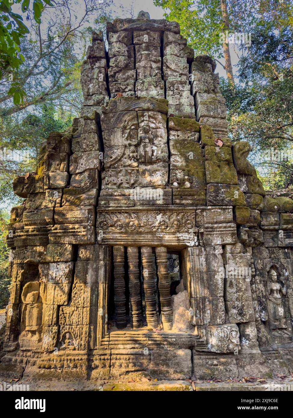 Ta Prohm Temple, a Mahayana Buddhist monastery built in the late 12th ...