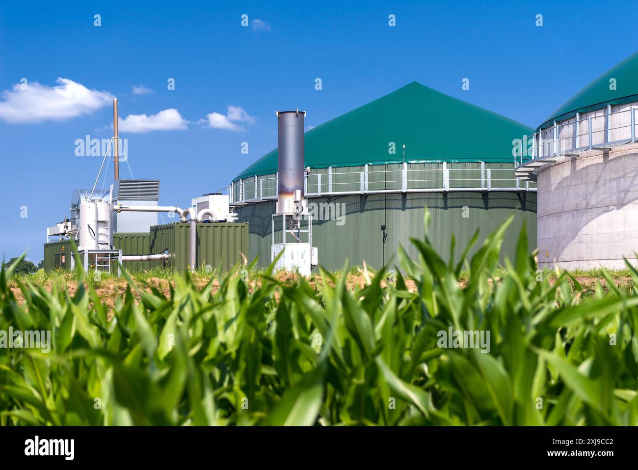 Biogas plant maize field hi-res stock photography and images - Alamy
