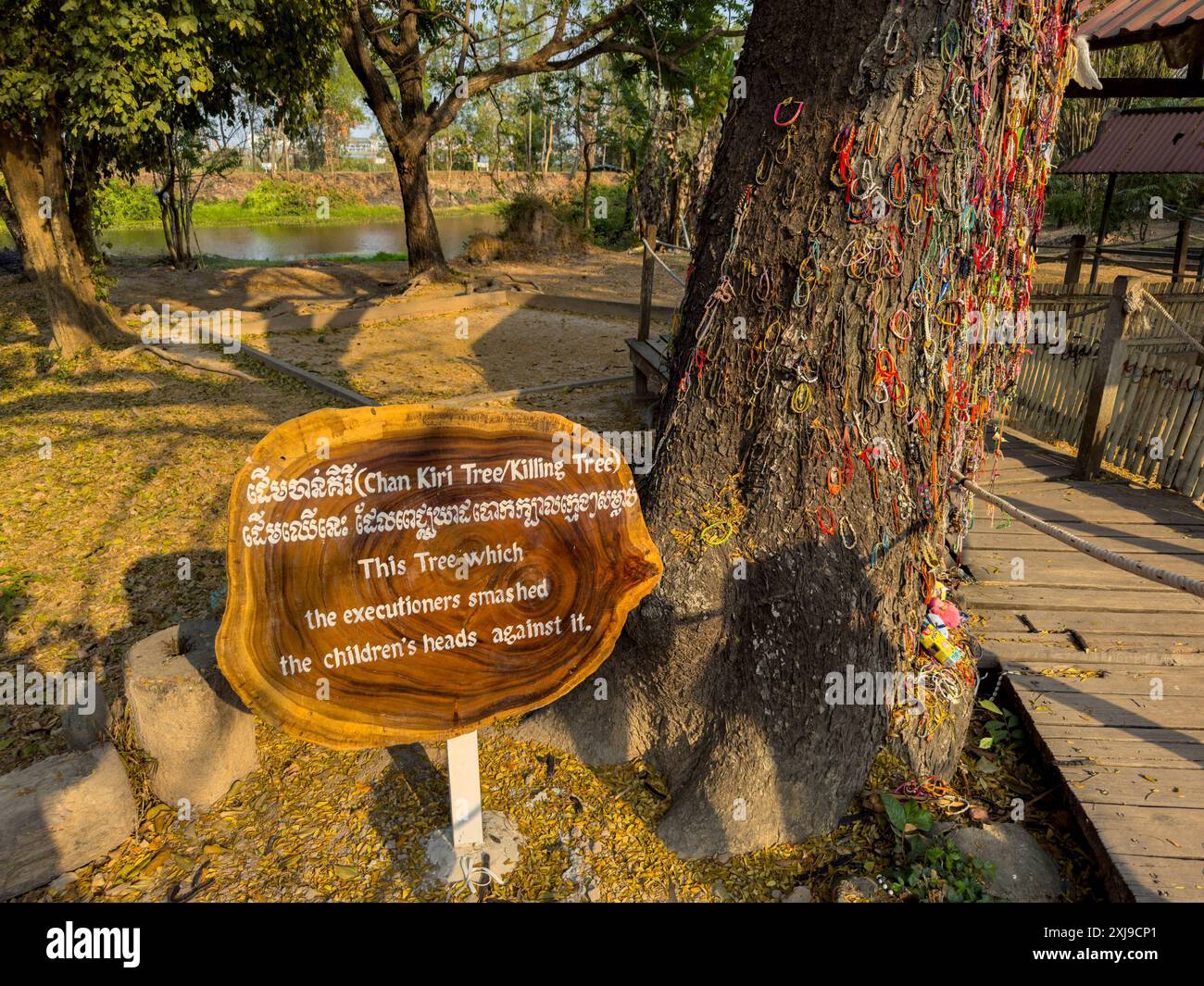 The killing tree, dedicated to those killed during the Khmer Rouge ...