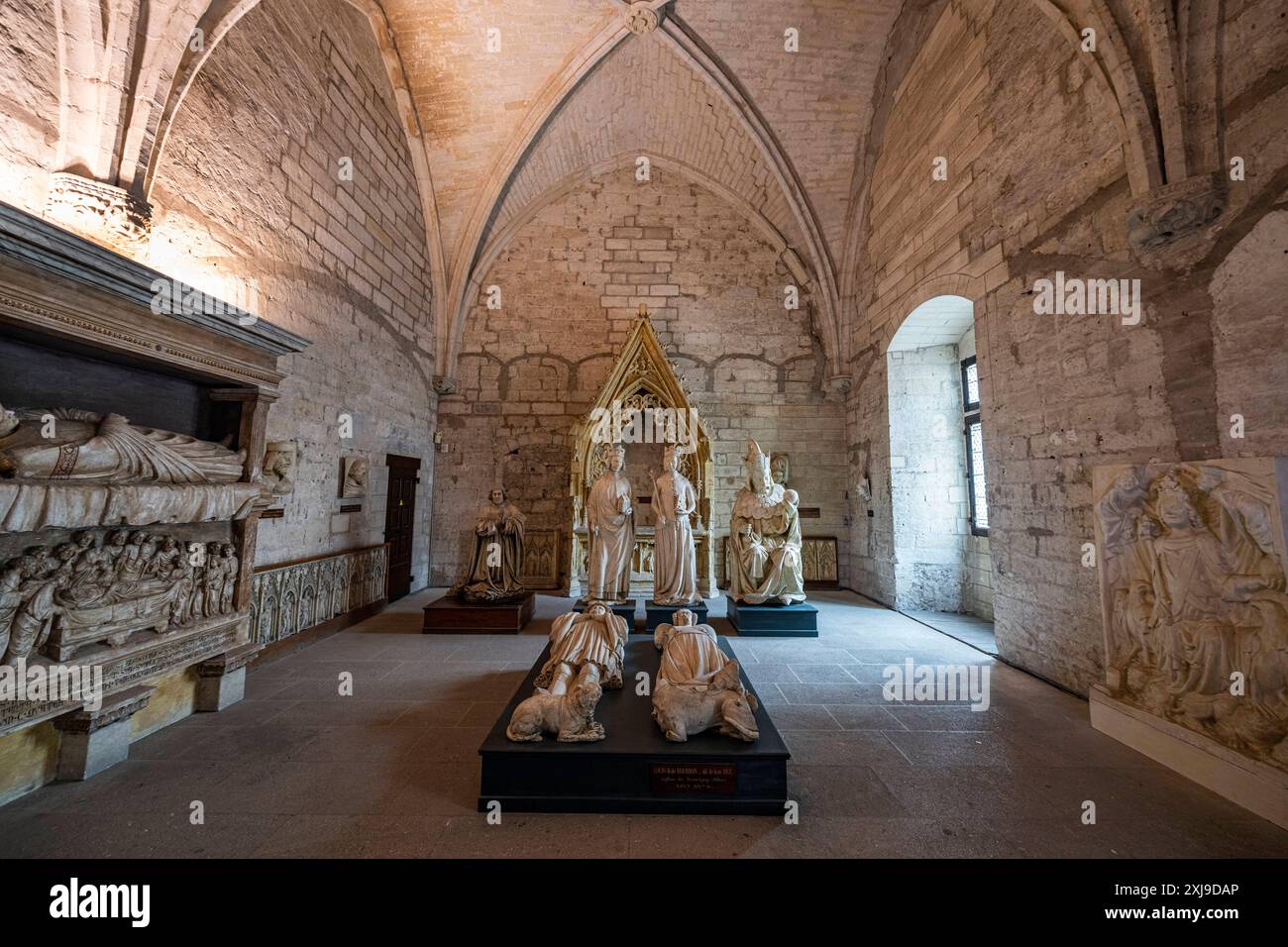 Palace of the Popes, Avignon, UNESCO World Heritage Site, Vaucluse ...