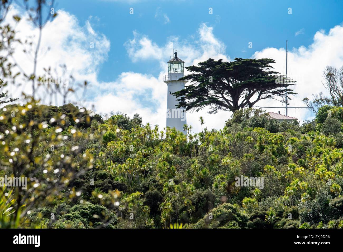 The Tiritiri Lighthouse on Tiritiri Matangi Island near Auckland, NZ ...