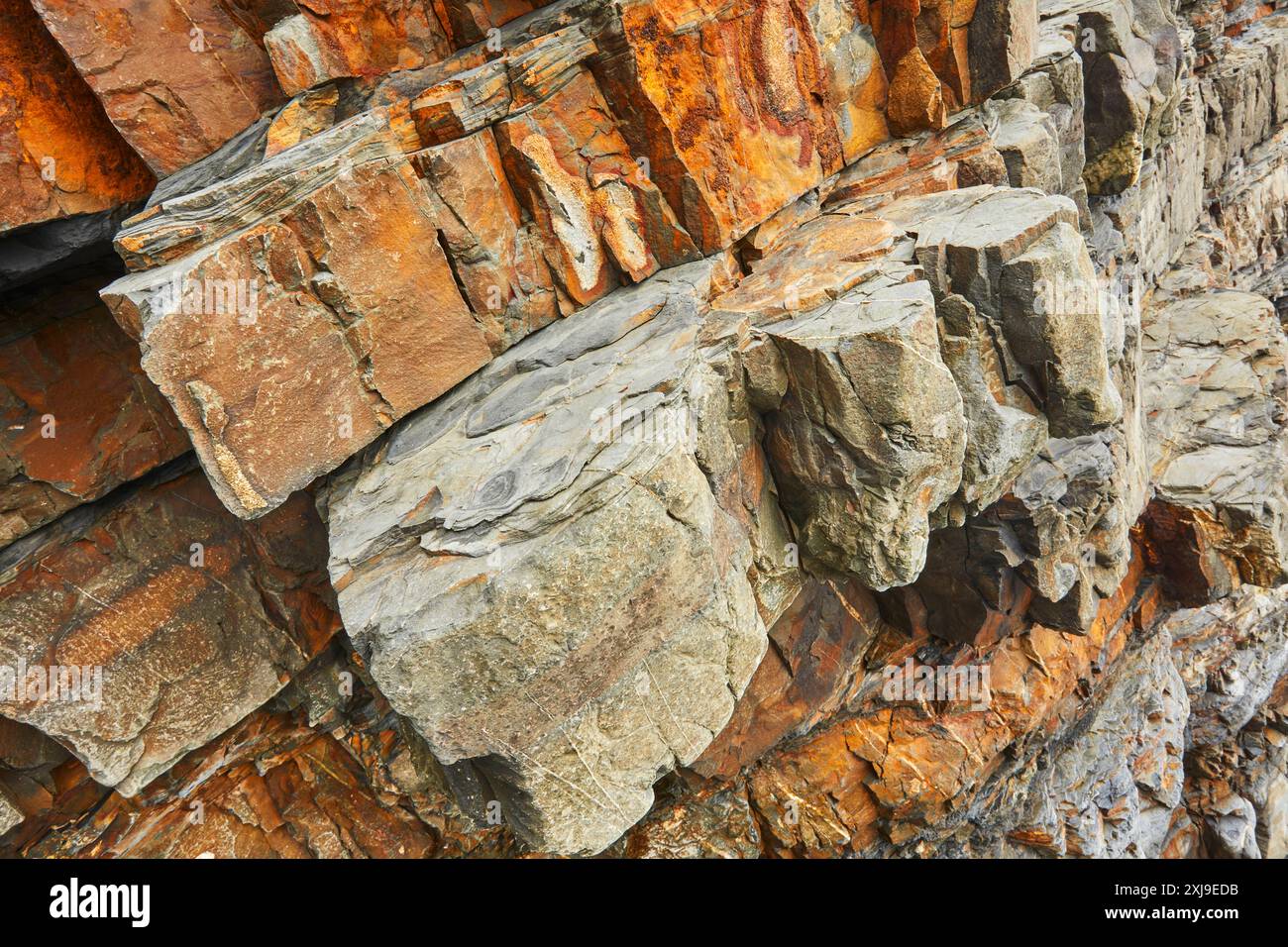 Folded sedimentary rocks in cliffs at Welcombe Mouth, on the Atlantic ...
