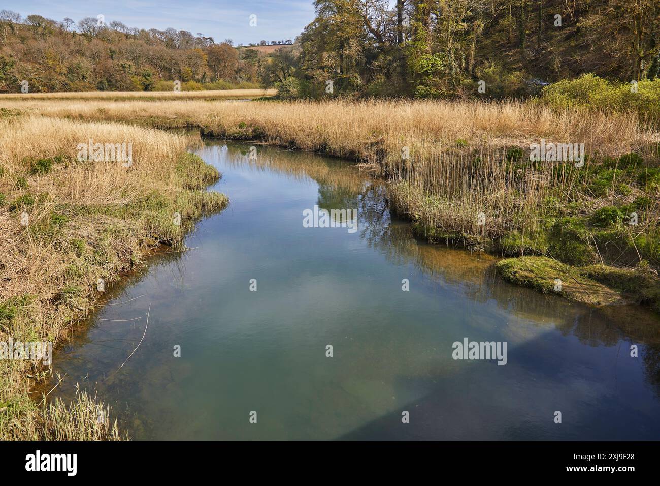 Border between devon and cornwall hi-res stock photography and images ...