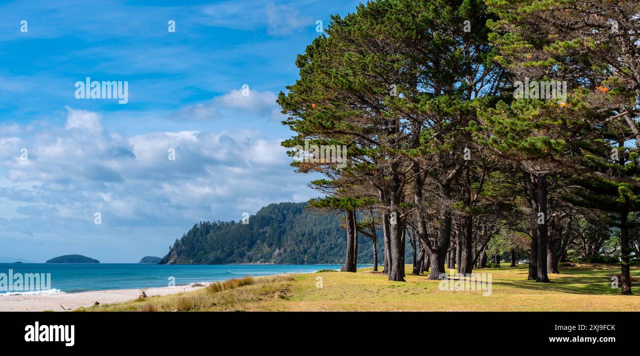 Royal Billy Point Reserve in Pauanui with its Cypress trees, grassy ...