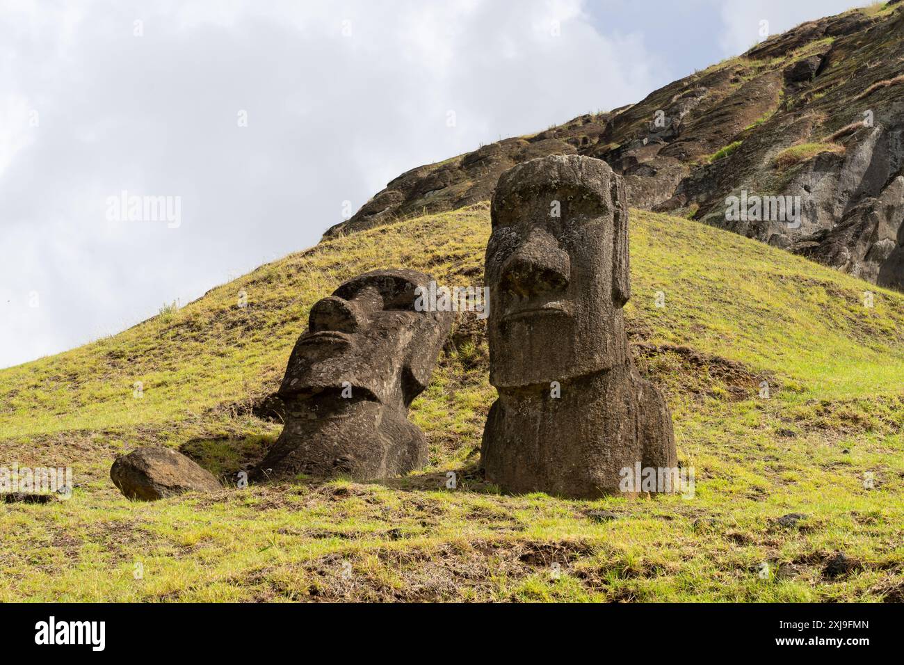 Moai heads on the slope of Rano Raraku on Easter Island (Rapa Nui ...