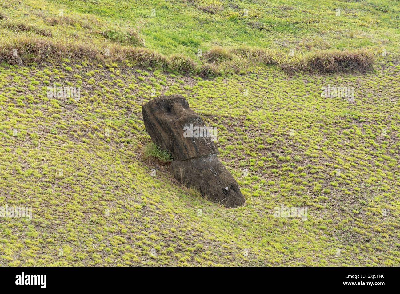 Moai heads on the slope of Rano Raraku on Easter Island (Rapa Nui ...
