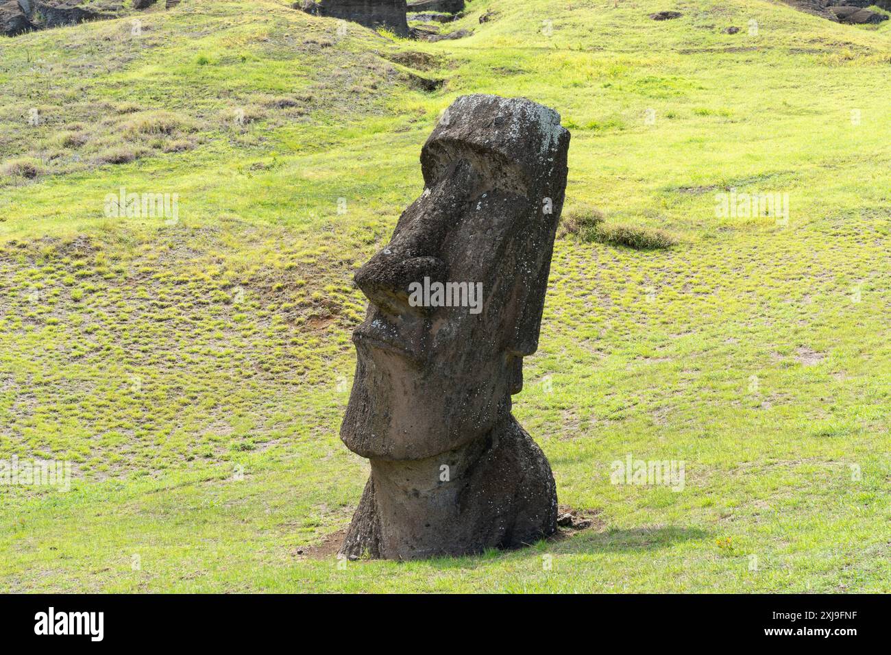 Moai heads on the slope of Rano Raraku on Easter Island (Rapa Nui ...