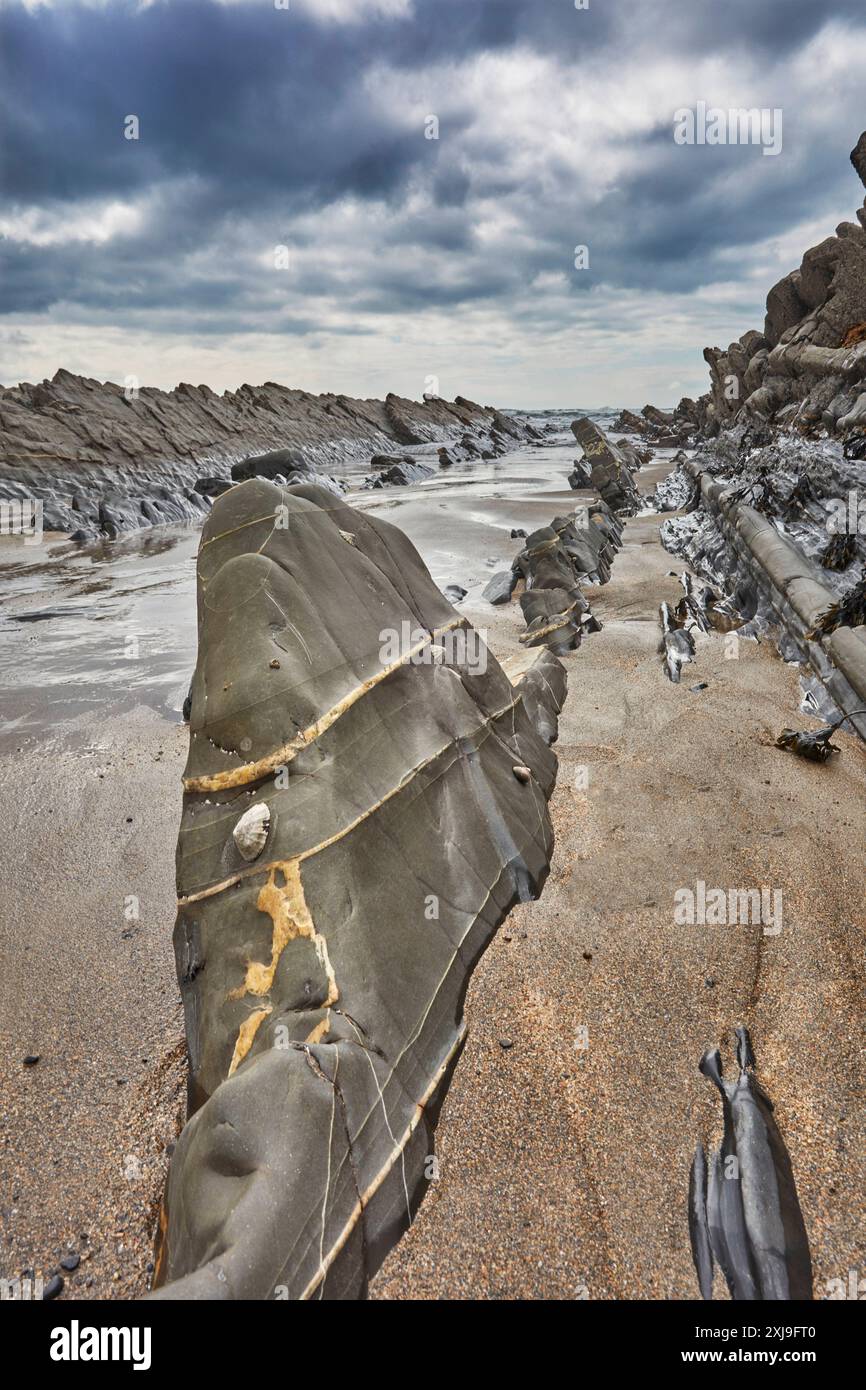 A rocky shore at low tide and under grey skies at Welcombe Mouth ...