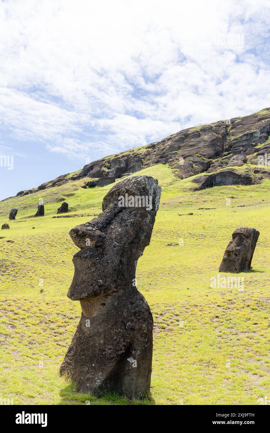 Moai heads on the slope of Rano Raraku on Easter Island (Rapa Nui ...