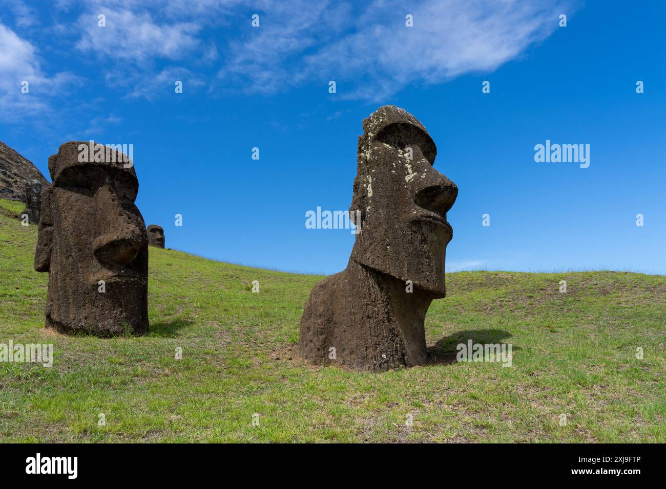 Moai heads on the slope of Rano Raraku on Easter Island (Rapa Nui ...