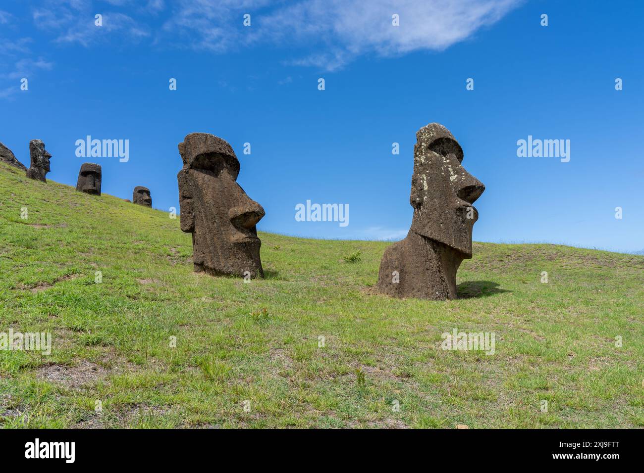 Moai heads on the slope of Rano Raraku on Easter Island (Rapa Nui ...