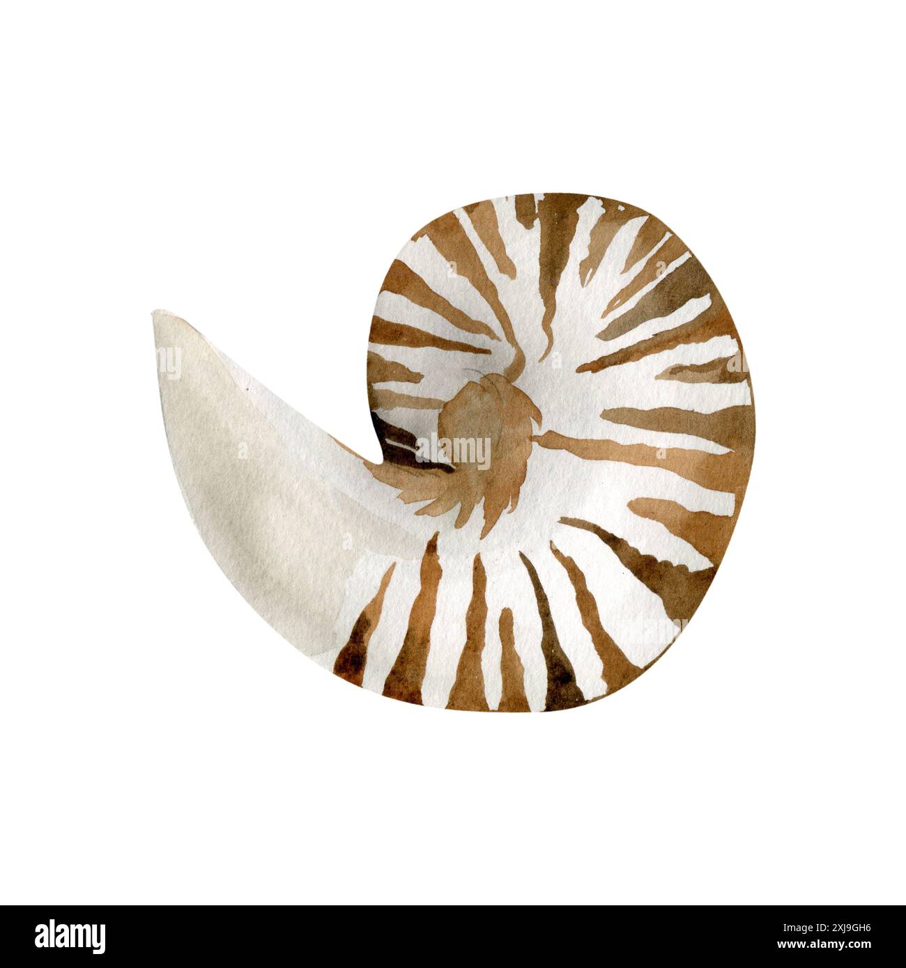 Seashell emblem hi-res stock photography and images - Alamy