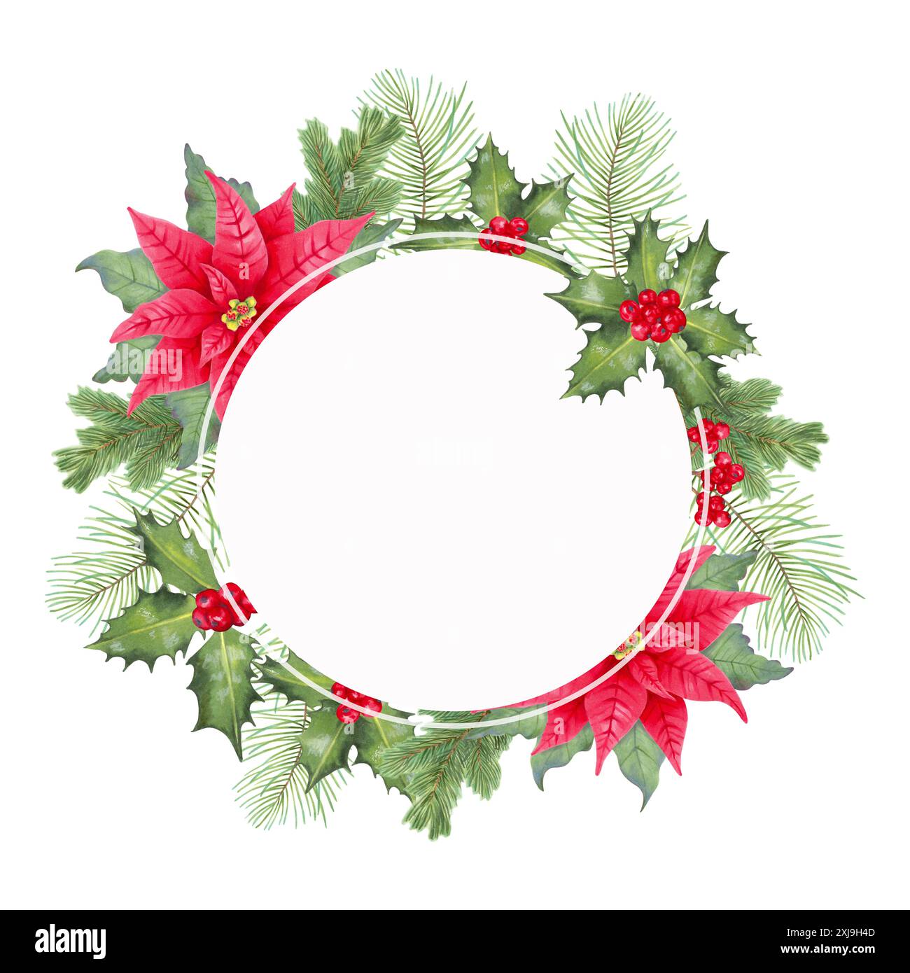 Christmas wreath with poinsettia flower, holly berries, leaves with ...