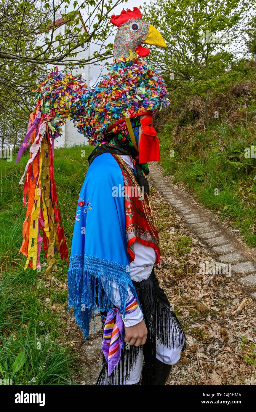 The Galo de San Pedro da Mezquita in A Merca, Galicia, is a traditional ...