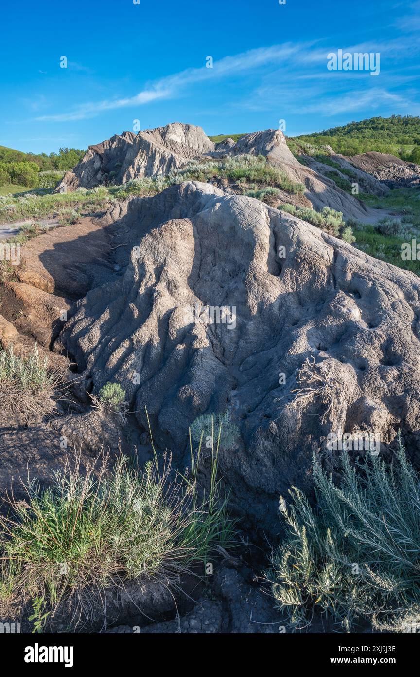 Claybank brick plant hi-res stock photography and images - Alamy