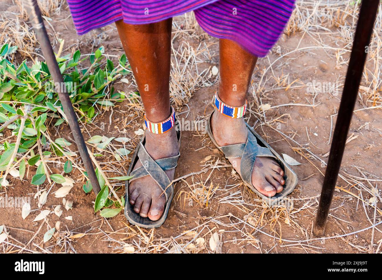Womans feet close up hi-res stock photography and images - Alamy