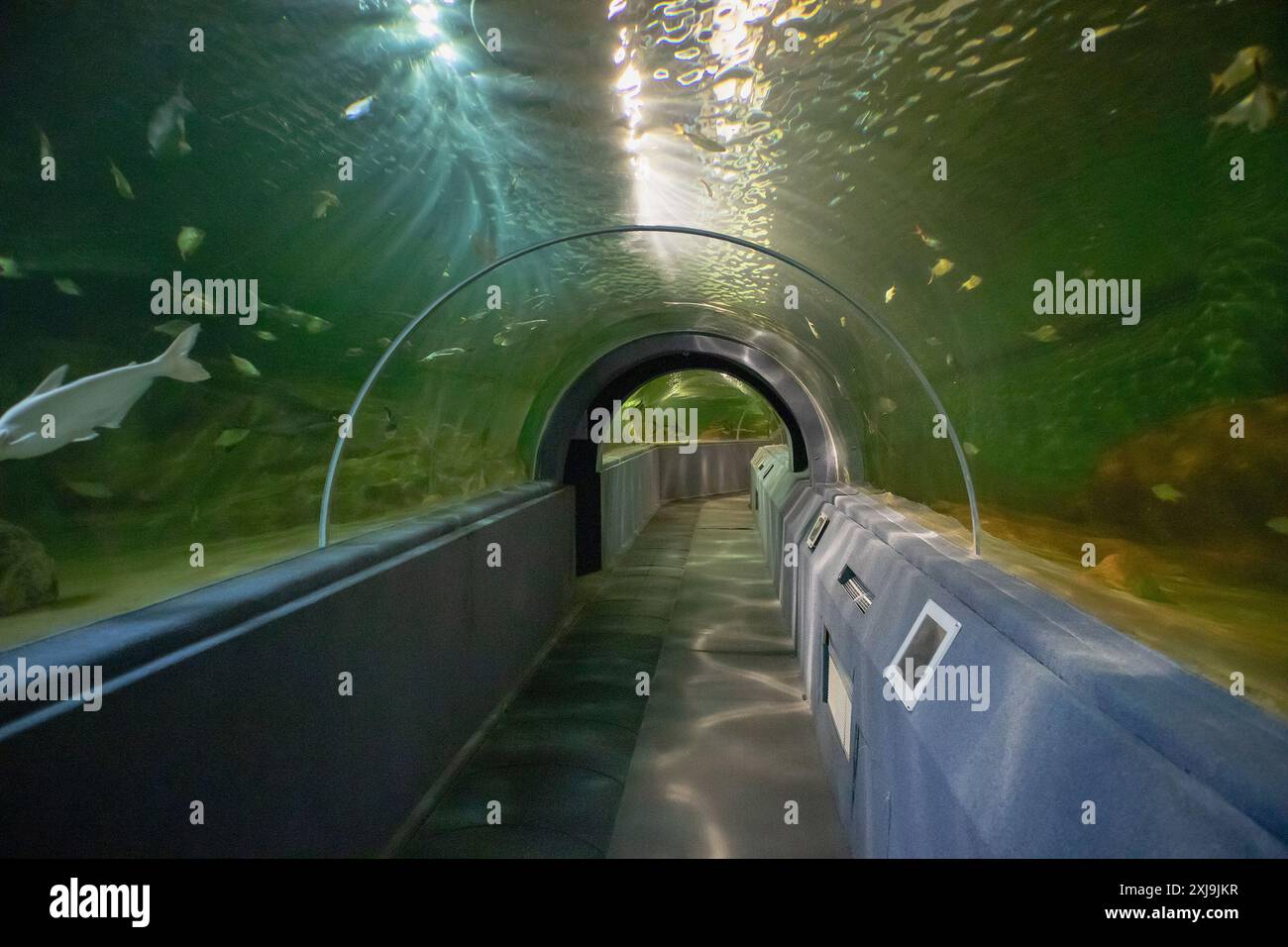 Underwater tunnel aquarium Stock Photo - Alamy