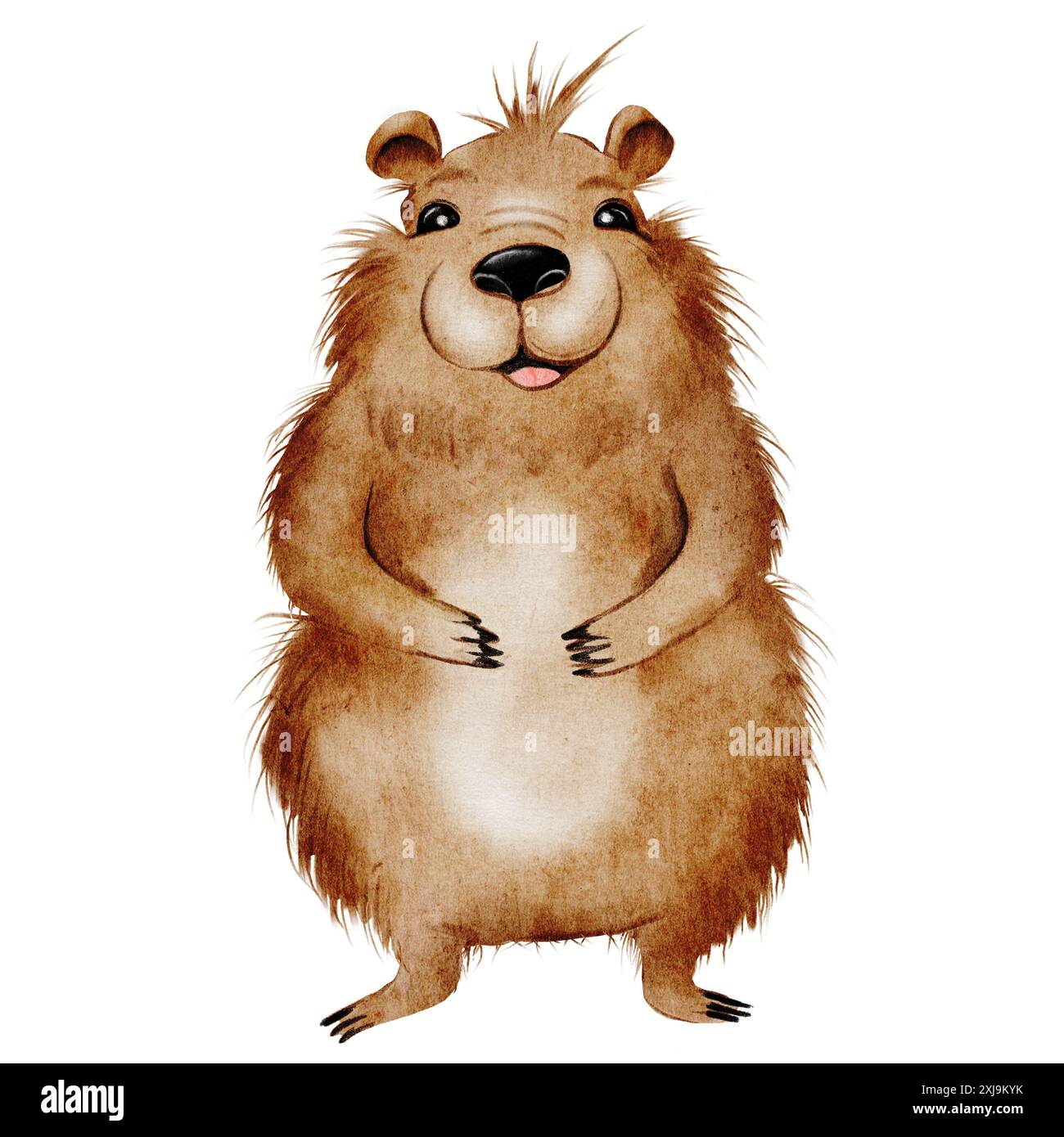 Capybara cute watercolor. Funny animal hand drawing on isolated white ...