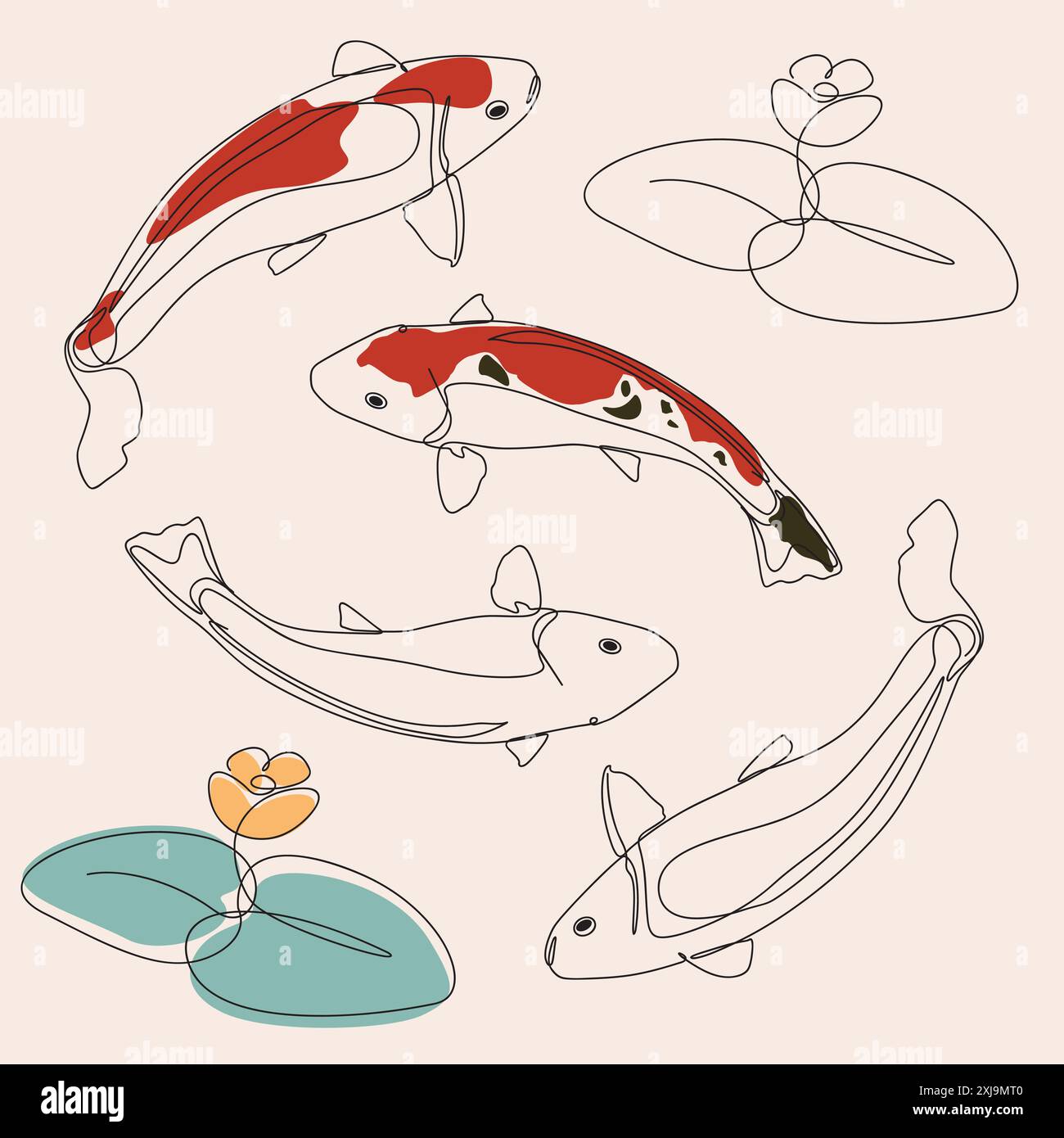 Graceful koi fish swimming among delicate lotus flowers. Elegant line ...