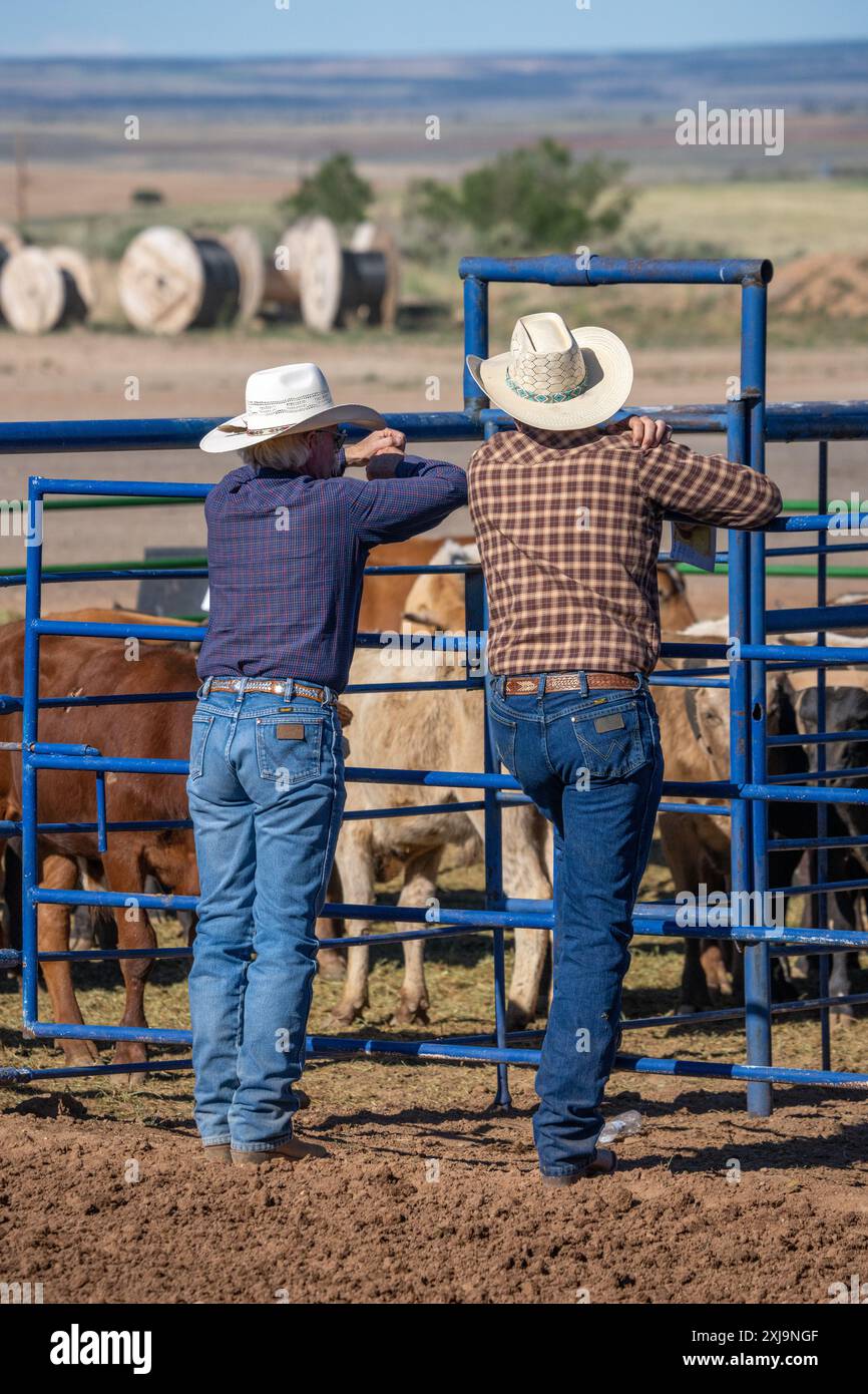 Two rodeo livestock wranglers talking before a rodeo in a small town in ...