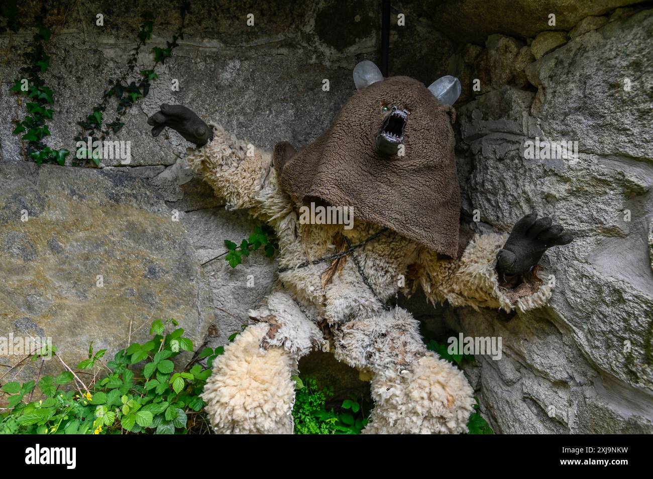 The Bear of Entroido de Sande, celebrated in Sande, Ourense, is a ...